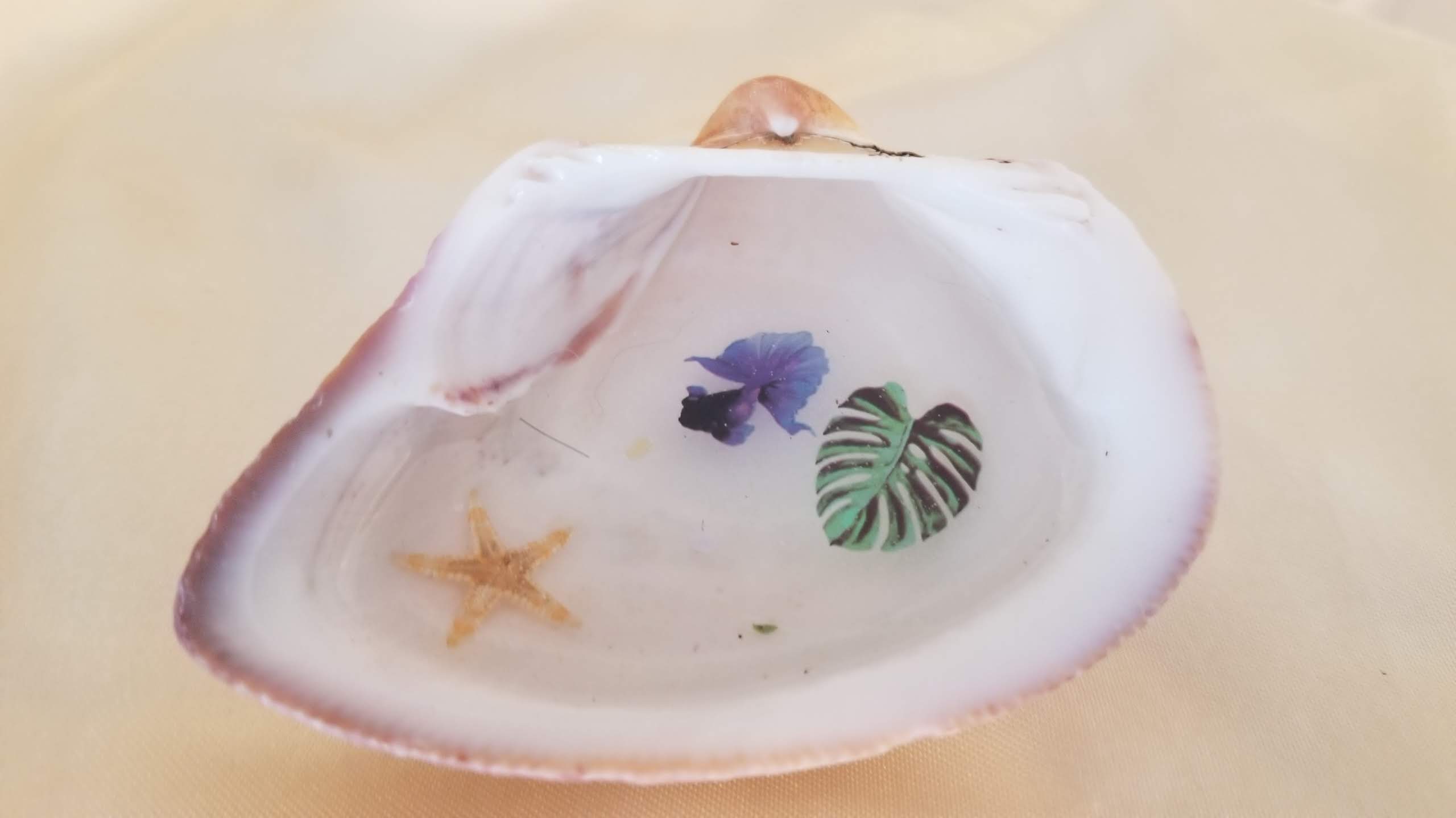 Medium Shell Pond Dark Blue Fish/Starfish — Cynfull Arts